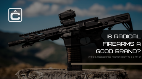 Is Radical Firearms A Good Brand? | Compass Auctions and Real Estate
